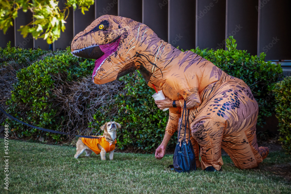 Woman in inflatable T-Rex Costume carrying purse tries to get little ...
