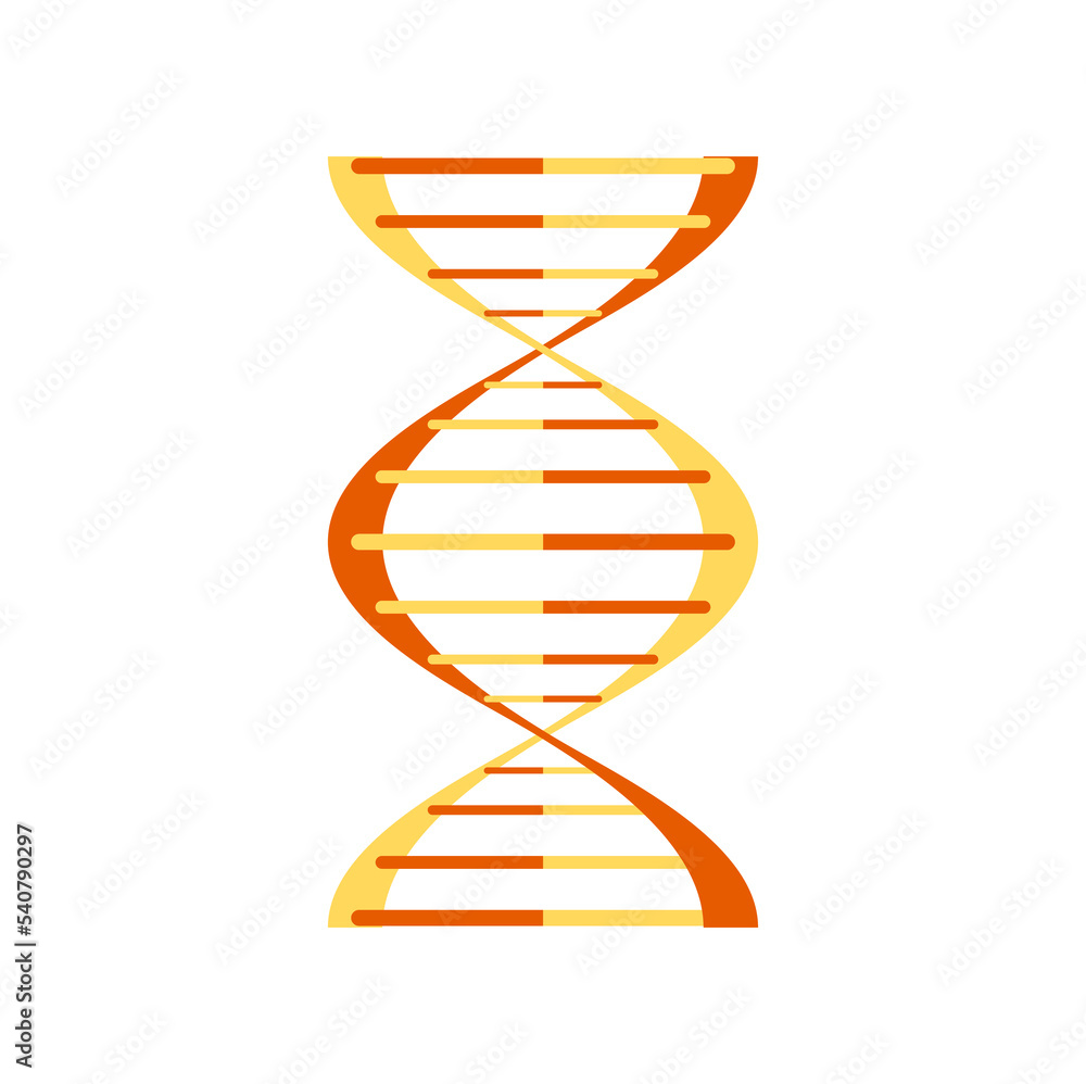 Genetic code isolated twisted DNA molecule helix structure cartoon ...