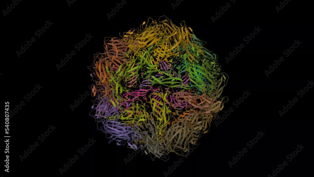 Structure of porcine circovirus 2. Animated 3D cartoon and Gaussian ...