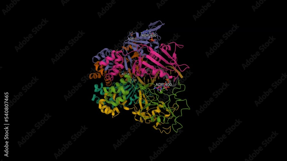 Cryo-EM structure of PCV2 replicase bound to ssDNA. Animated 3D cartoon ...