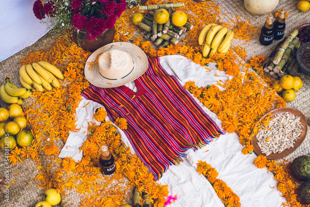 Traditional Mexican Day of the Dead altar with offerings of cockscomb ...