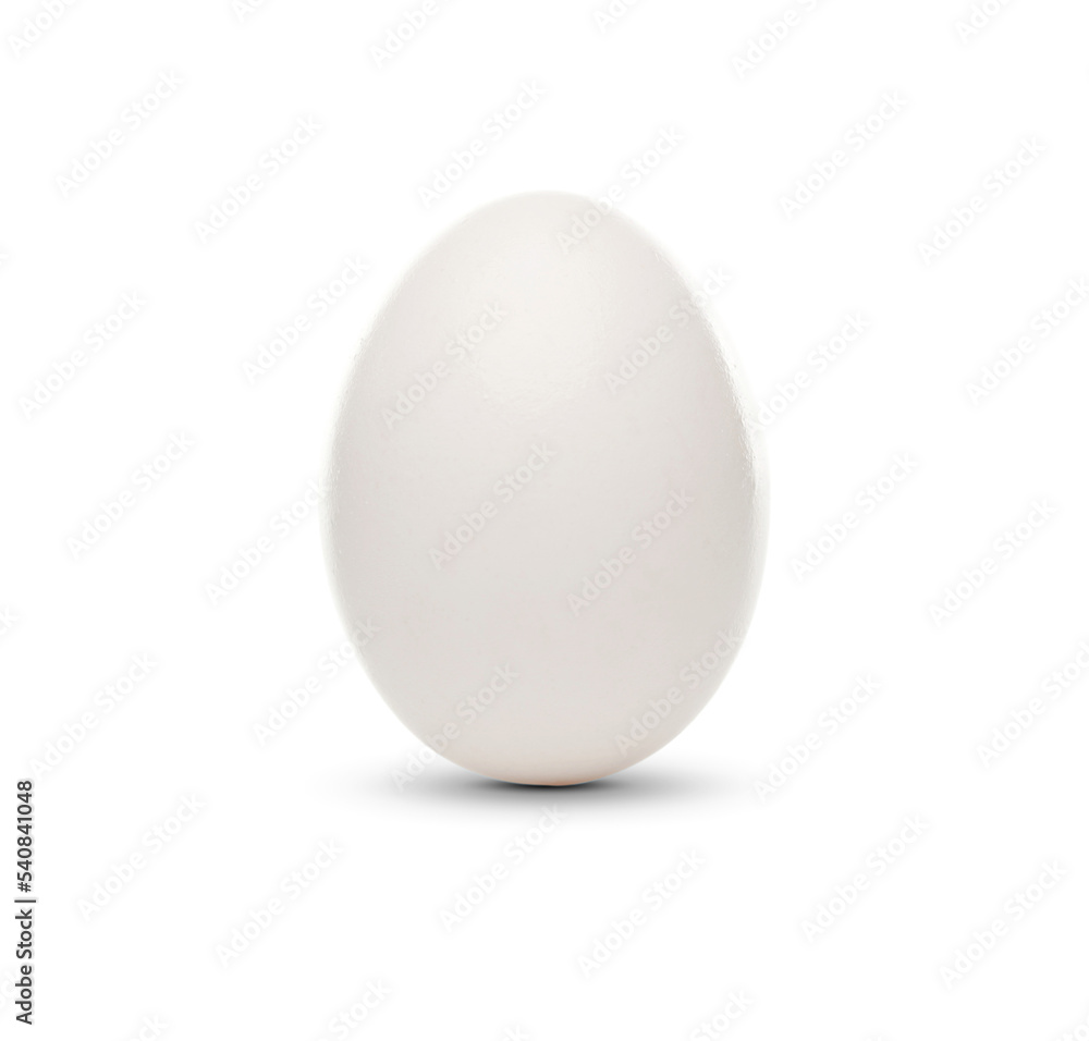 Transparent PNG White Egg Standing. Stock Photo | Adobe Stock