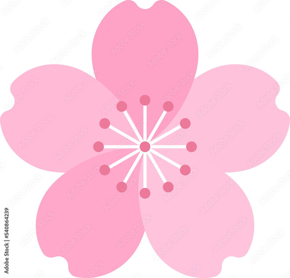 pink sakura ,chery blossom, prunus flower illustration, floral icon ...