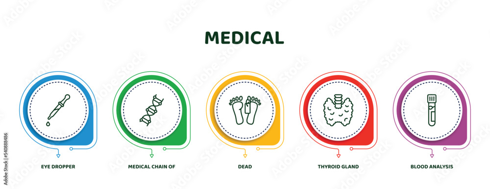 editable thin line icons with infographic template. infographic for medical concept. included ...