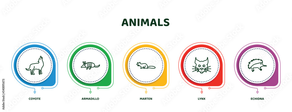 editable thin line icons with infographic template. infographic for ...