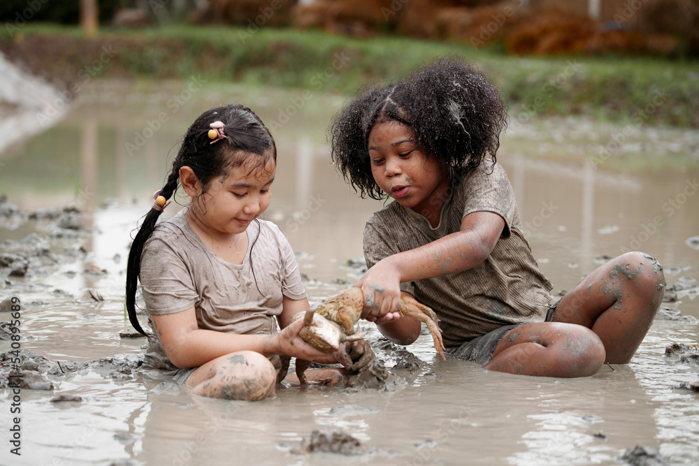 Two happy children child girl catching big frog in the large wet mud ...