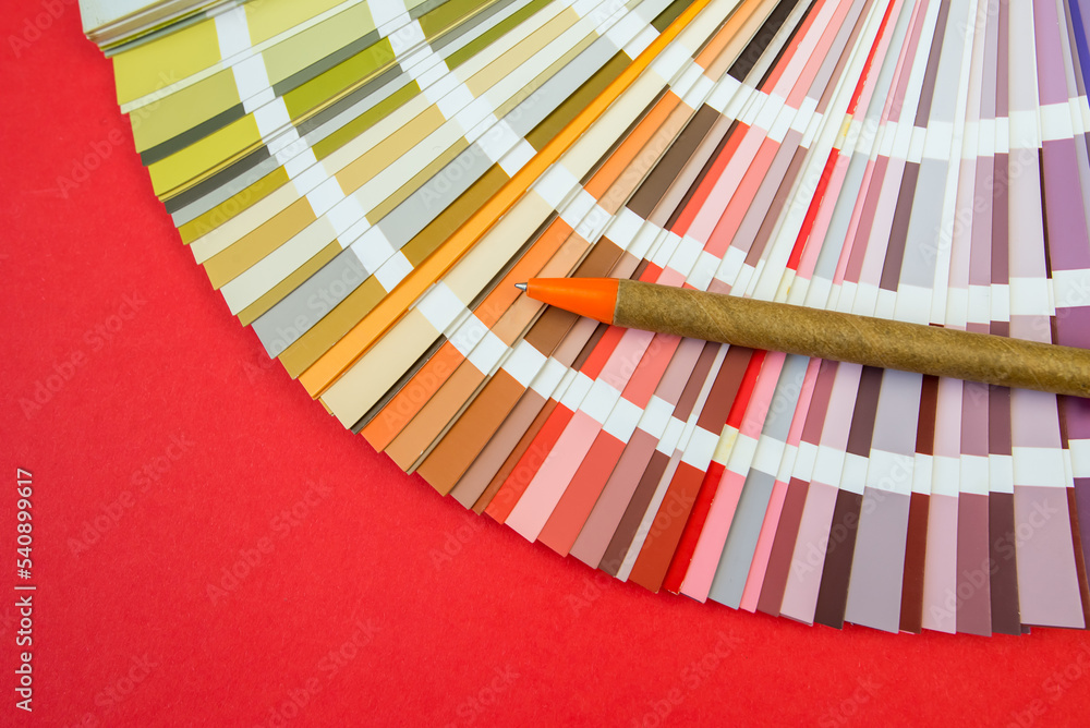 Color guide close up. Assortment of flowers for design. Color palette ...