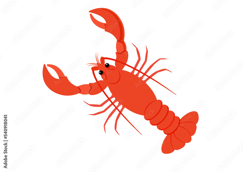 Cartoon Lobster in flat style. Vector illustration of lobster isolated ...