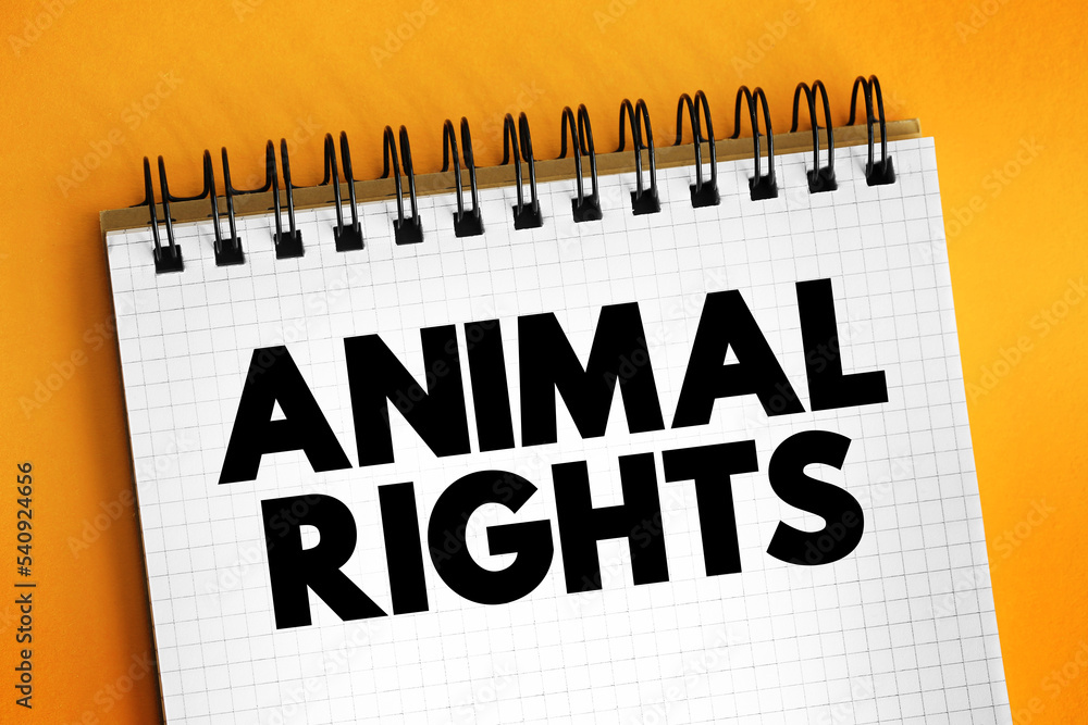 Animals Have Rights
