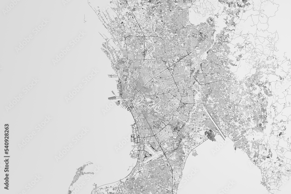 Map of the streets of Manila (Philippines) on white background. 3d ...