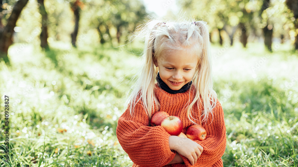 Child picking apples on farm in autumn. Little girl playing in tree ...