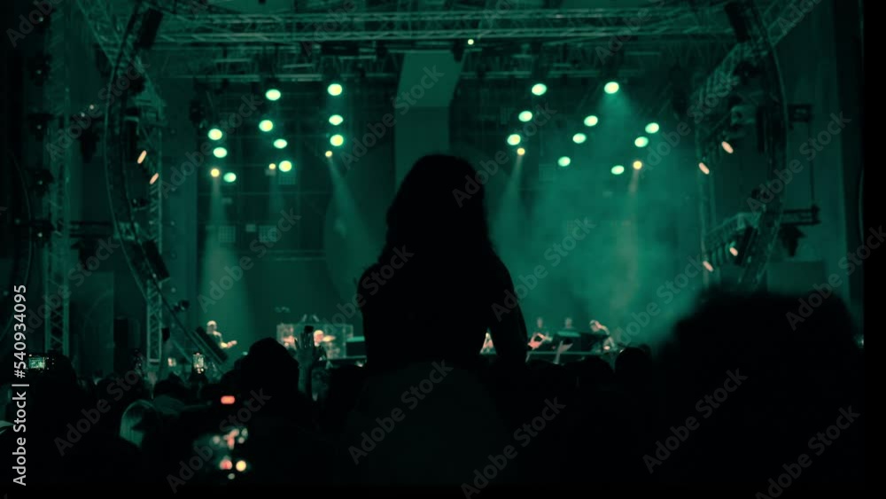 Back view of a crowd of people at an outdoor concert vídeo do Stock ...