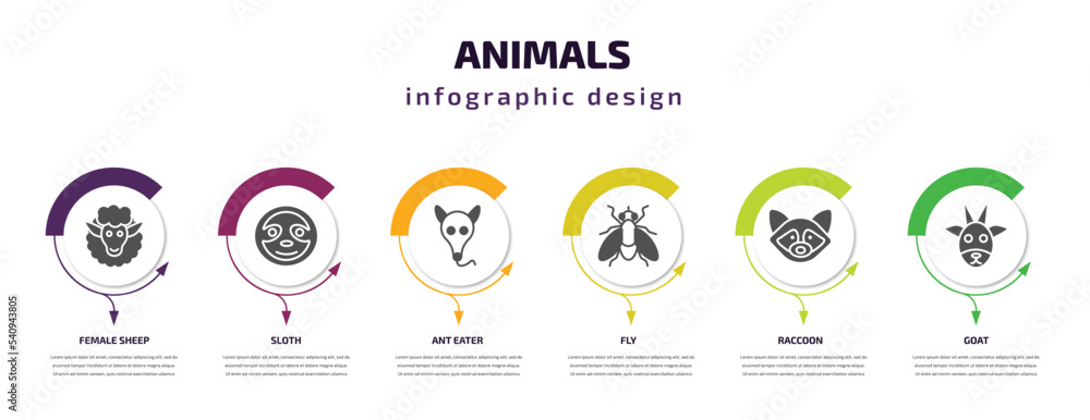 animals infographic template with icons and 6 step or option. animals ...