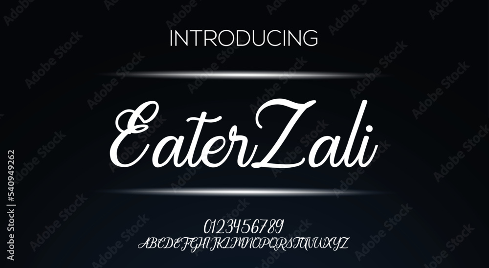 EATER ZALI Signature Font Calligraphy Logotype Script Font Type Font ...