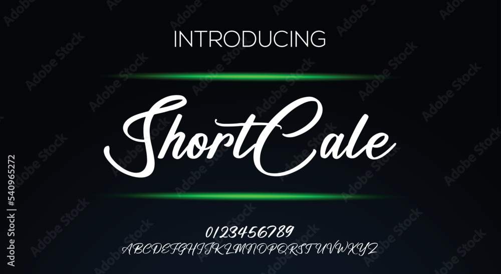 SHORT CALE Signature Font Calligraphy Logotype Script Brush Font Type ...