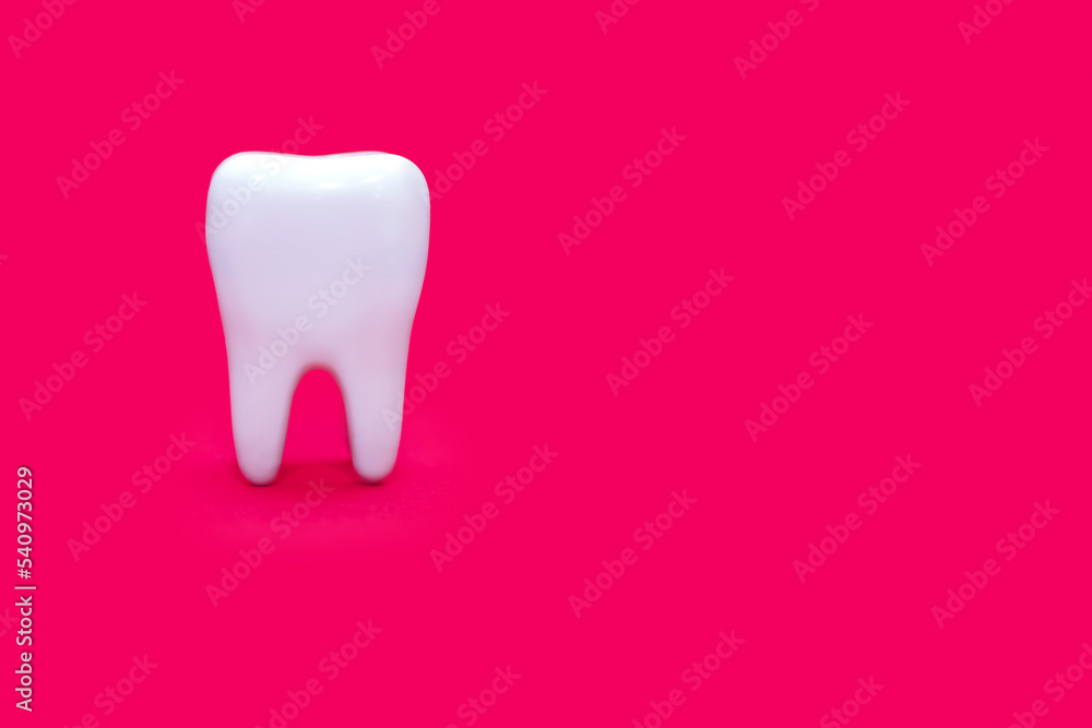 Molar on a pink background and free space for text. Medical concept of ...