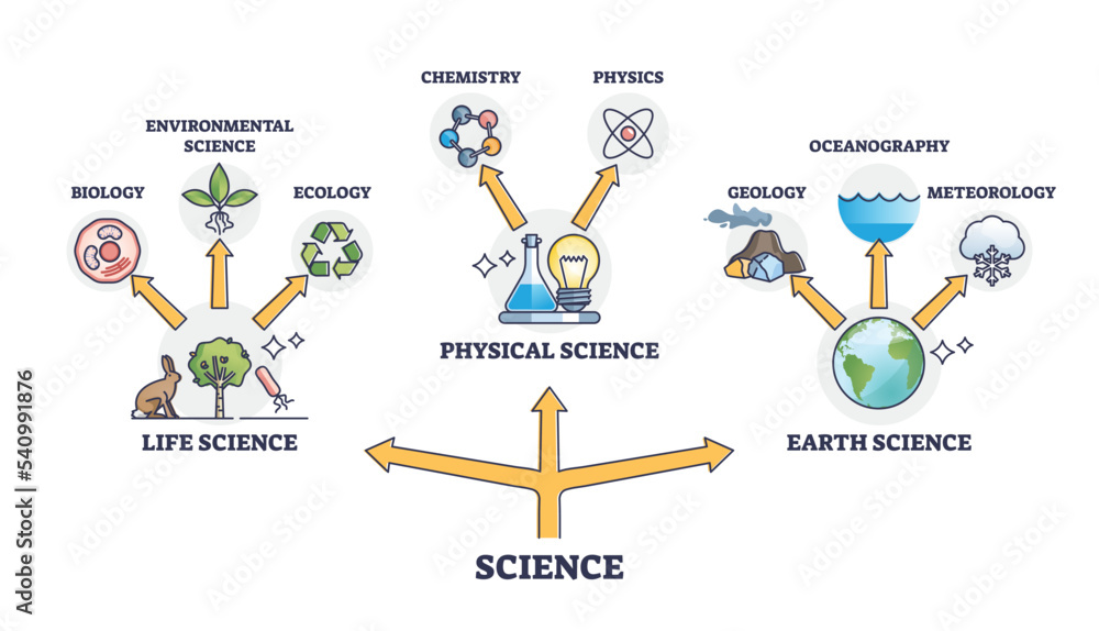 Life, physical and earth science branches division network outline ...