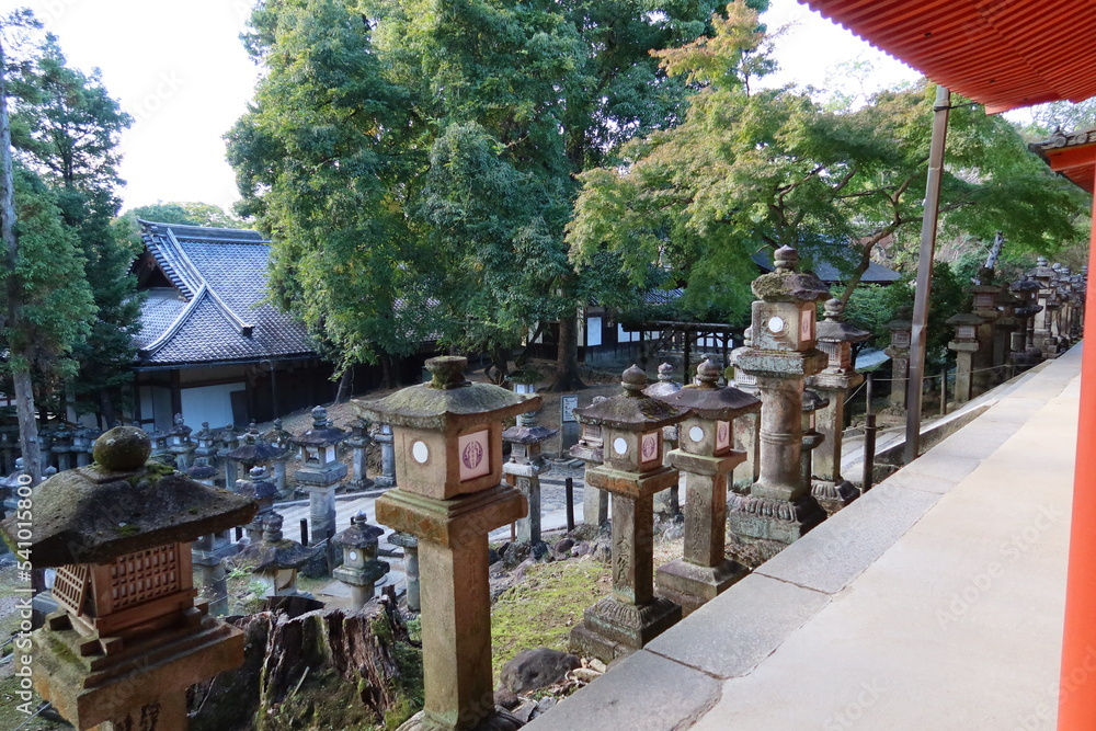 A Japanese shrine : the scene of Nishi-Kairo West Corridor and stone ...