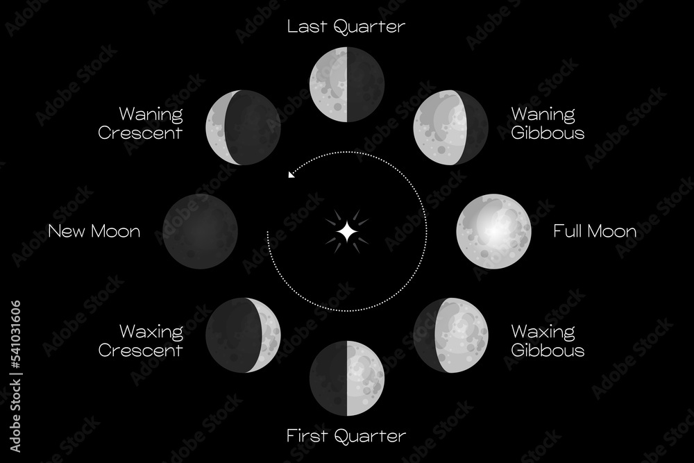 Moon phases scheme sphere shadow cycle astronomy icon set. Vector ...