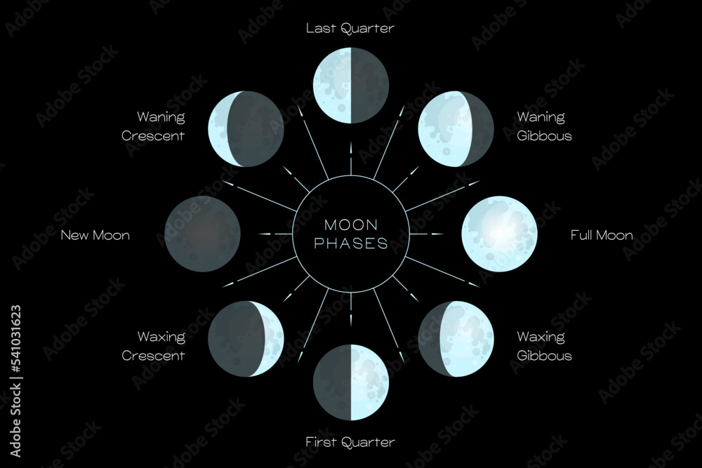 Moon phases scheme sphere shadow cycle astronomy icon set. Vector ...