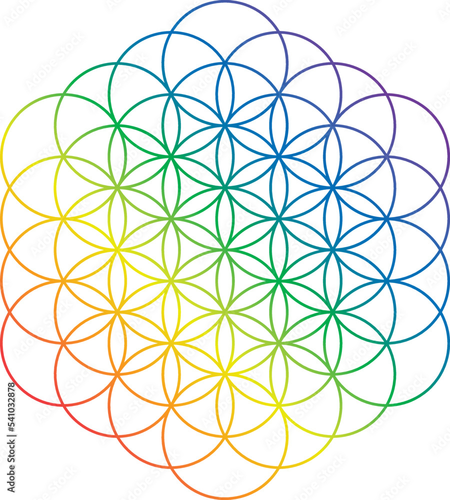 Esoteric symbol of the flower of life, vector illustration Stock Vector ...