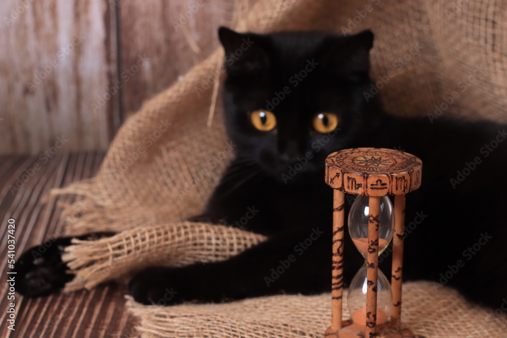 still life in Gothic Halloween style. Black cat, runes, hourglass with ...