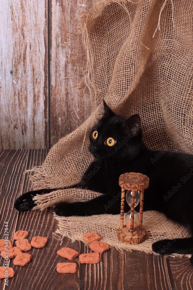 still life in Gothic Halloween style. Black cat, runes, hourglass with ...