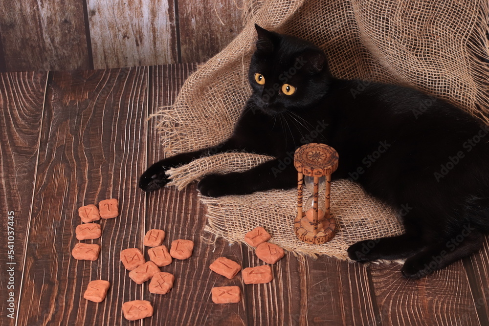 still life in Gothic Halloween style. Black cat, runes, hourglass with ...