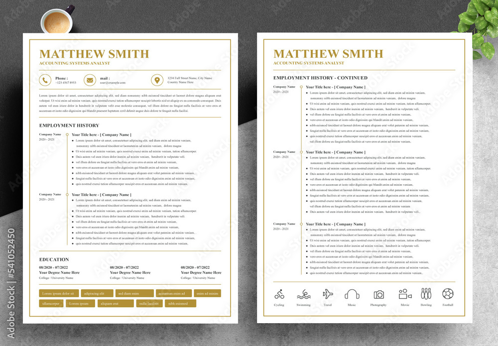 Resume Template CV Professional or Designer Jobs Resumes Stock Template ...
