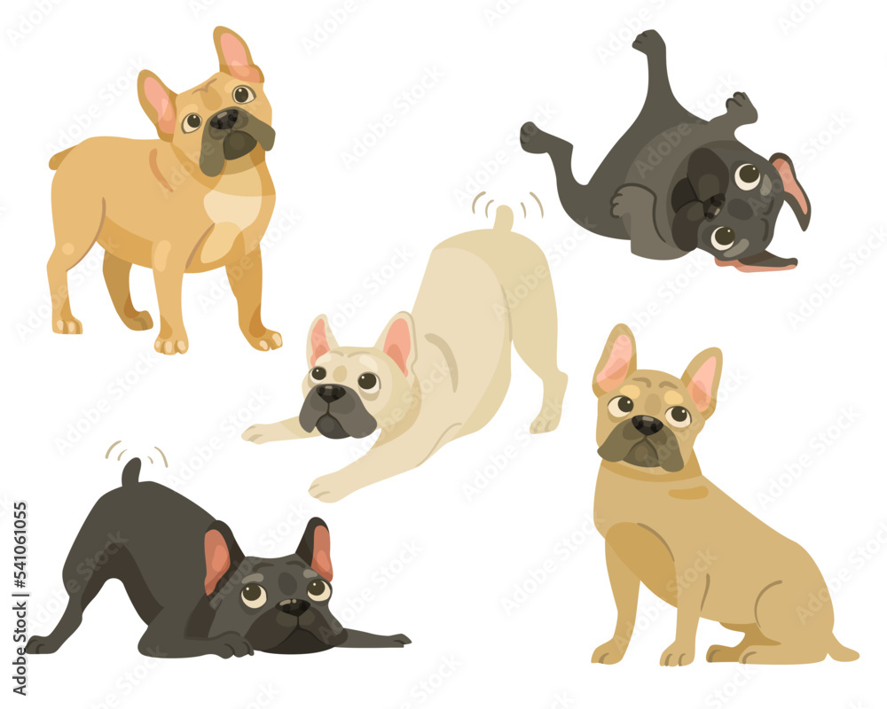 Cute French bulldogs cartoon illustration set. Funny and adorable puppy ...
