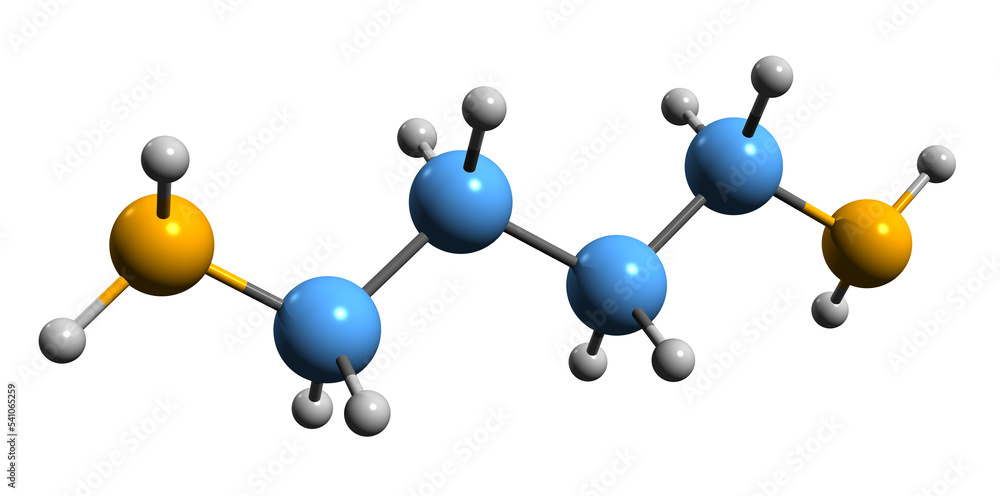 3D image of Putrescine skeletal formula - molecular chemical structure ...