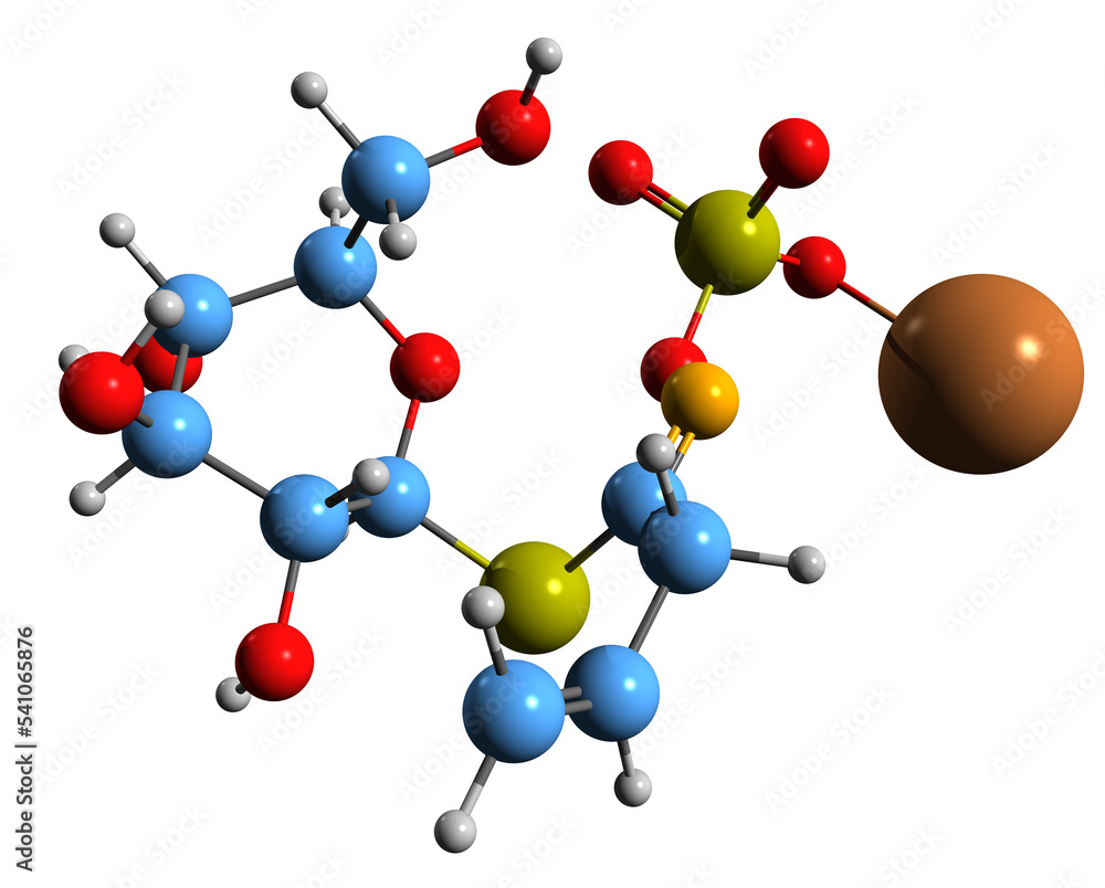 3D image of Sinigrin skeletal formula - molecular chemical structure of ...