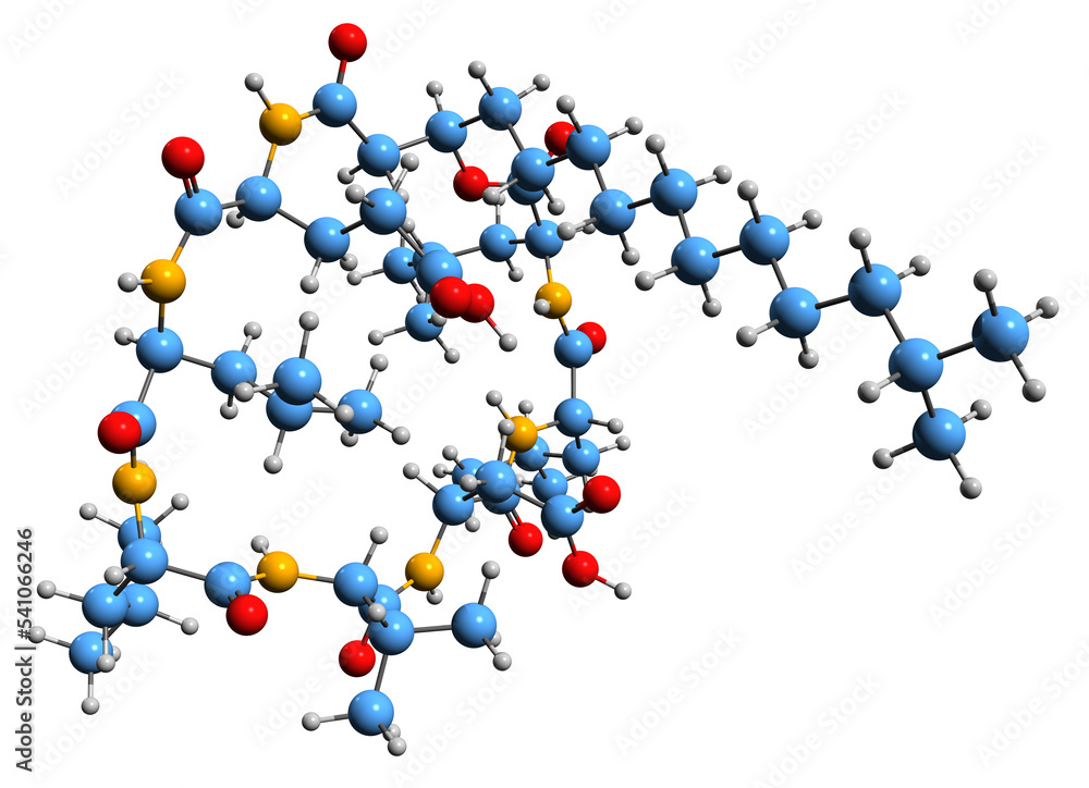 3D image of Surfactin skeletal formula - molecular chemical structure ...