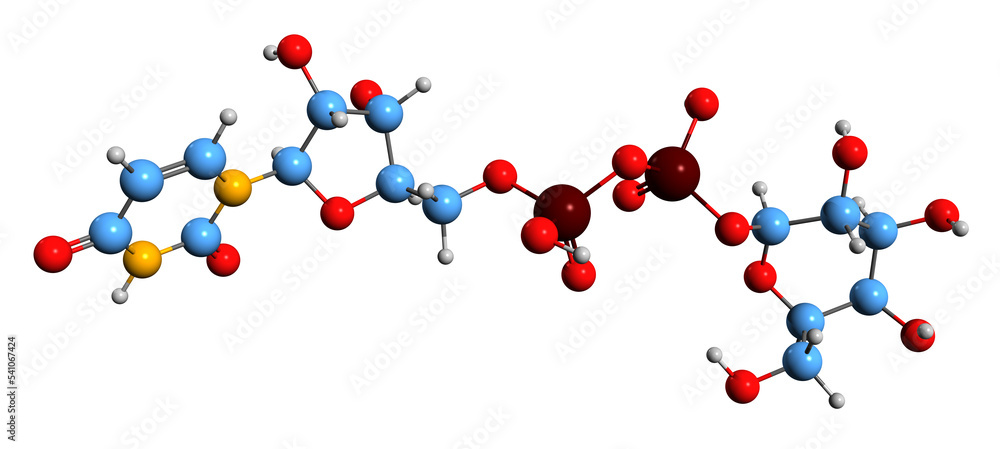 3D image of Uridine diphosphate galactose skeletal formula - molecular ...