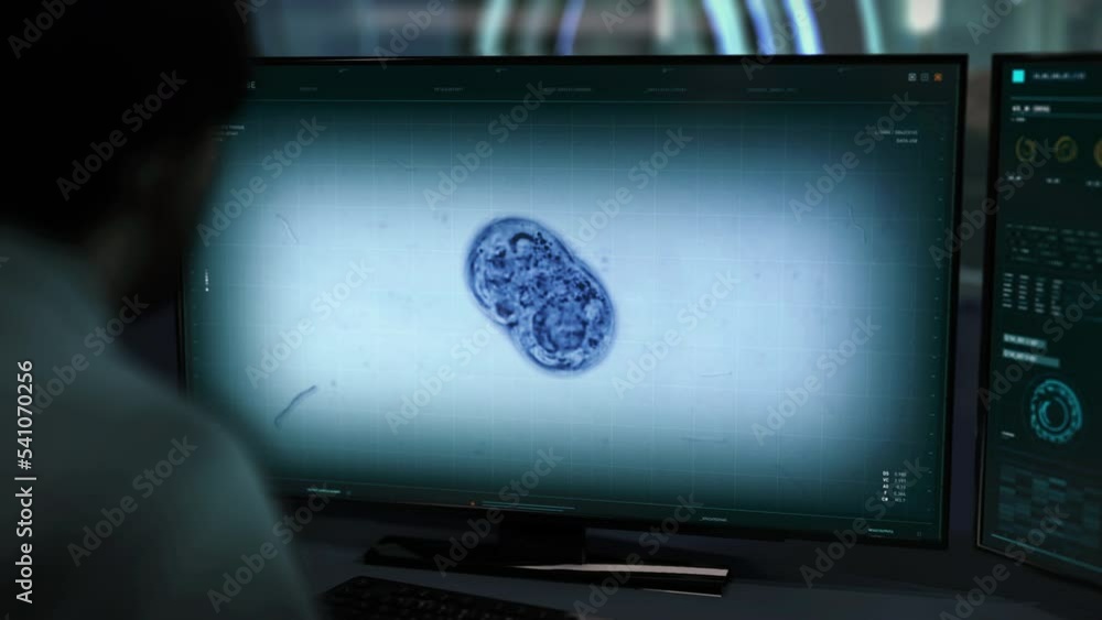 Studying mitosis at the modern medical laboratory. Studying the microbe ...
