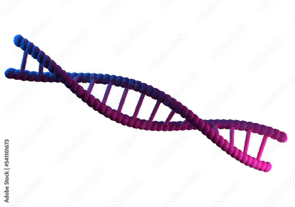 DNA structure. Strand of human genome. Genetic chain isolated on white ...
