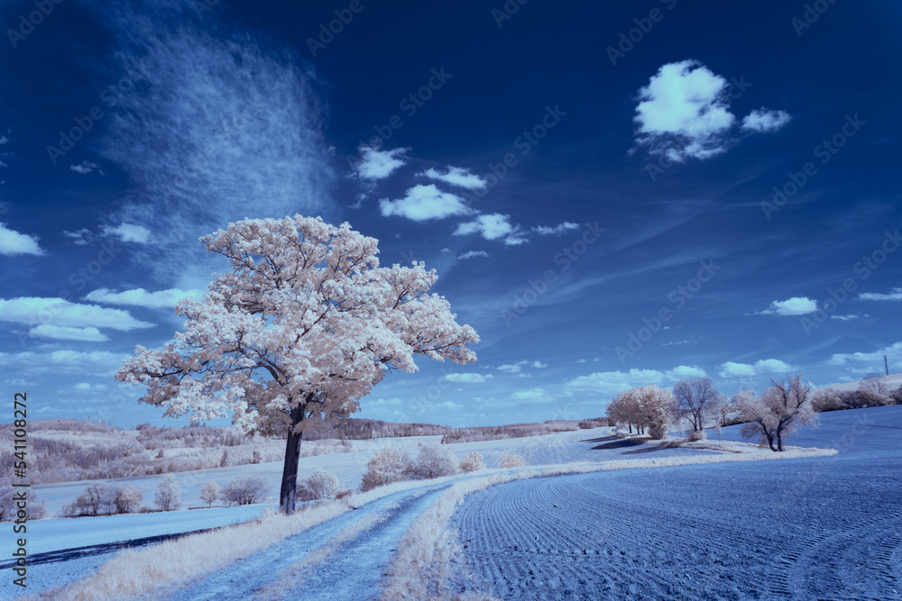 infrared photography - ir photo of landscape under sky with clouds ...