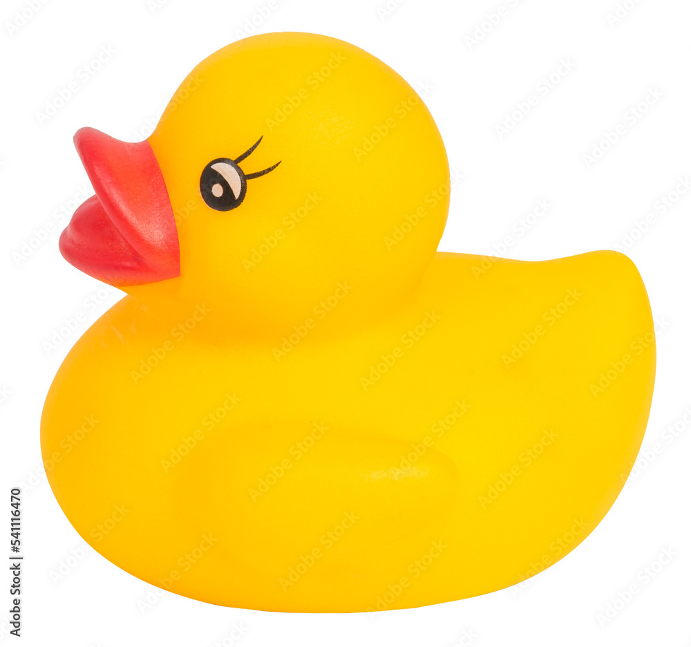 Yellow rubber duck isolated Stock Photo | Adobe Stock