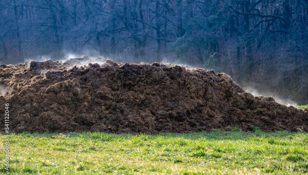A pile of cow dung as a symbol of methane pollution of the atmosphere ...