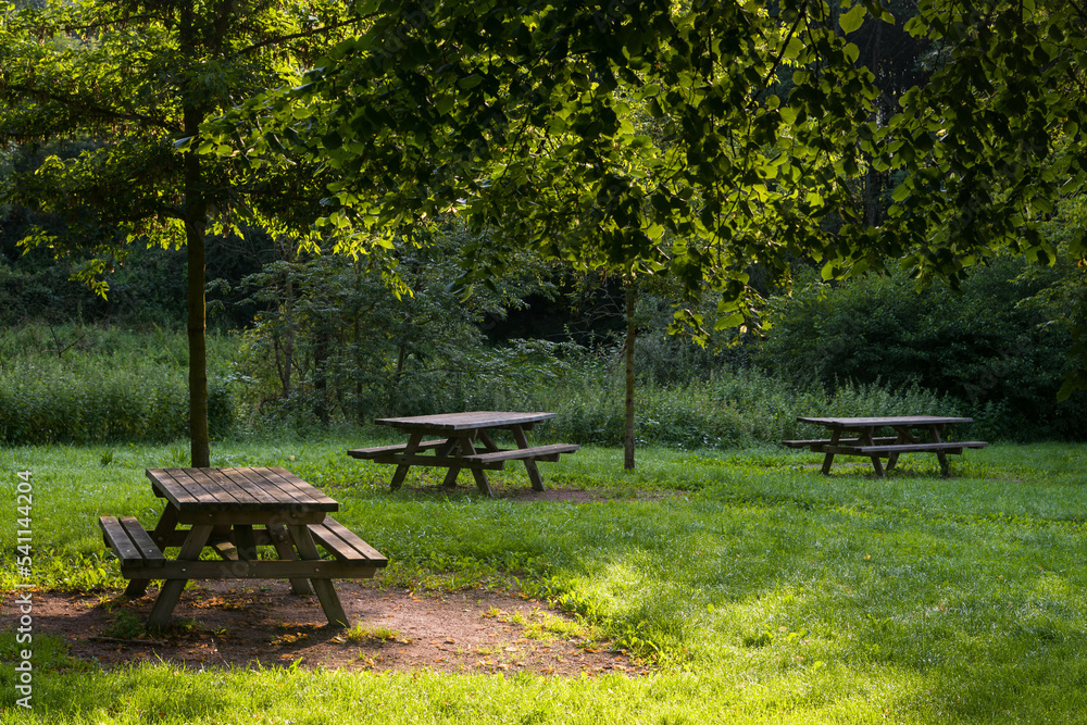 Des tables de piquenique en bois sous des arbres. Une aire de ...