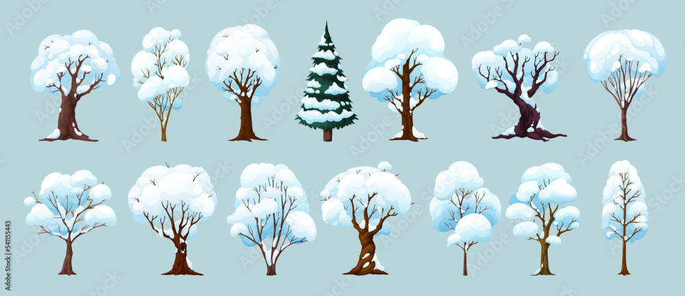 Cartoon winter trees, isolated vector wintertime forest and garden ...