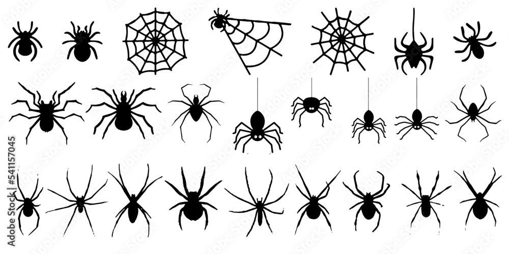 Set of silhouette of black spiders. Black spiders hanging on a web. Use ...