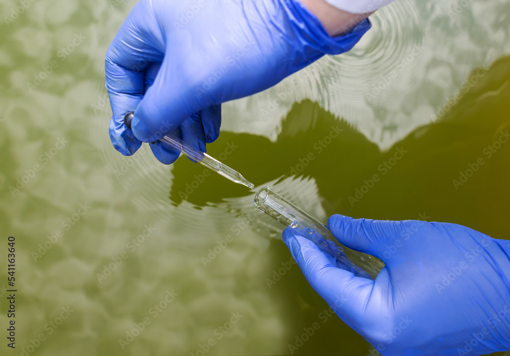 Water sample. Checking the condition of rivers or natural lakes. Water ...