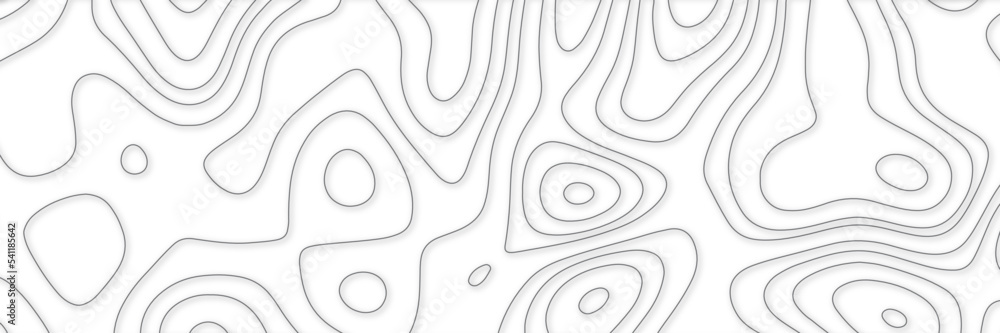 Terrain line. Topographic map on white background. Topo map elevation ...