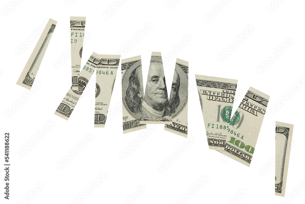 Cut dollar banknote cut money financial concept in PNG isolated on ...