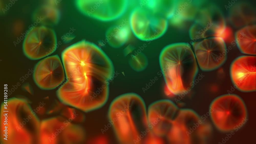 Cell division passing genetics information to the chromosome (Mitosis ...