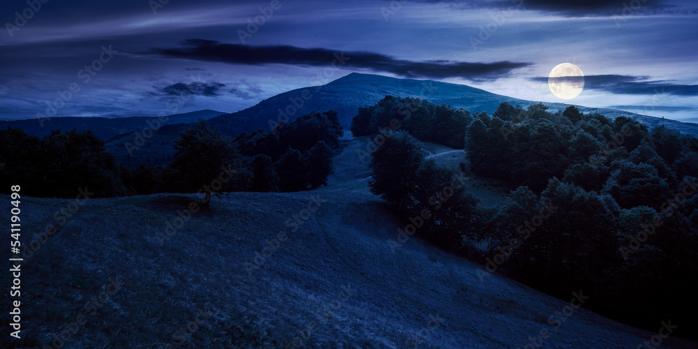 alpine meadows at night in summer. beech forest on the hill in full ...