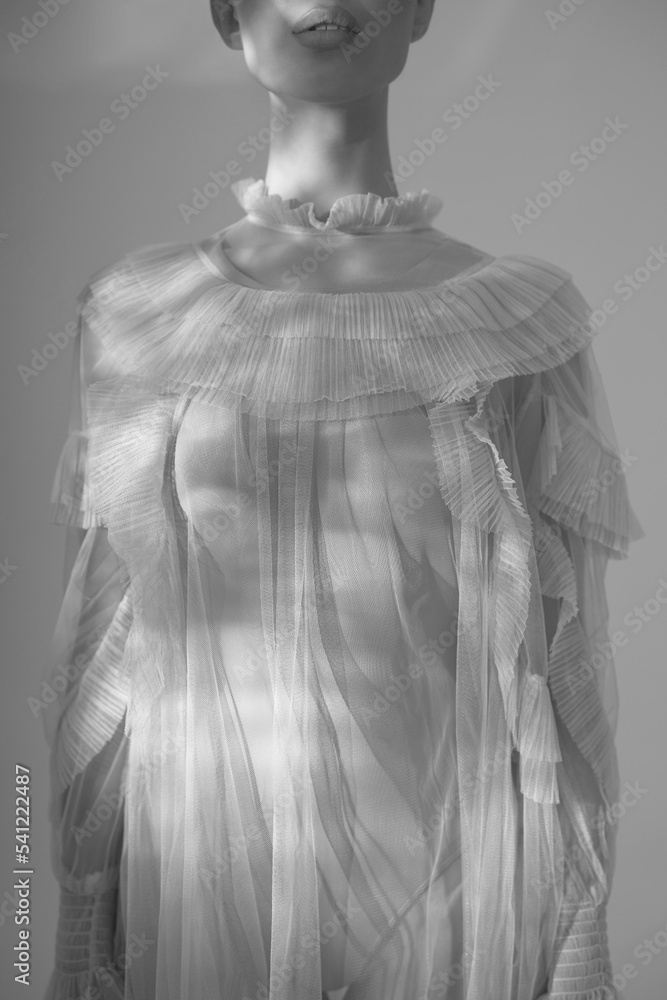 Sexy model in transparent dress. Stock Photo | Adobe Stock