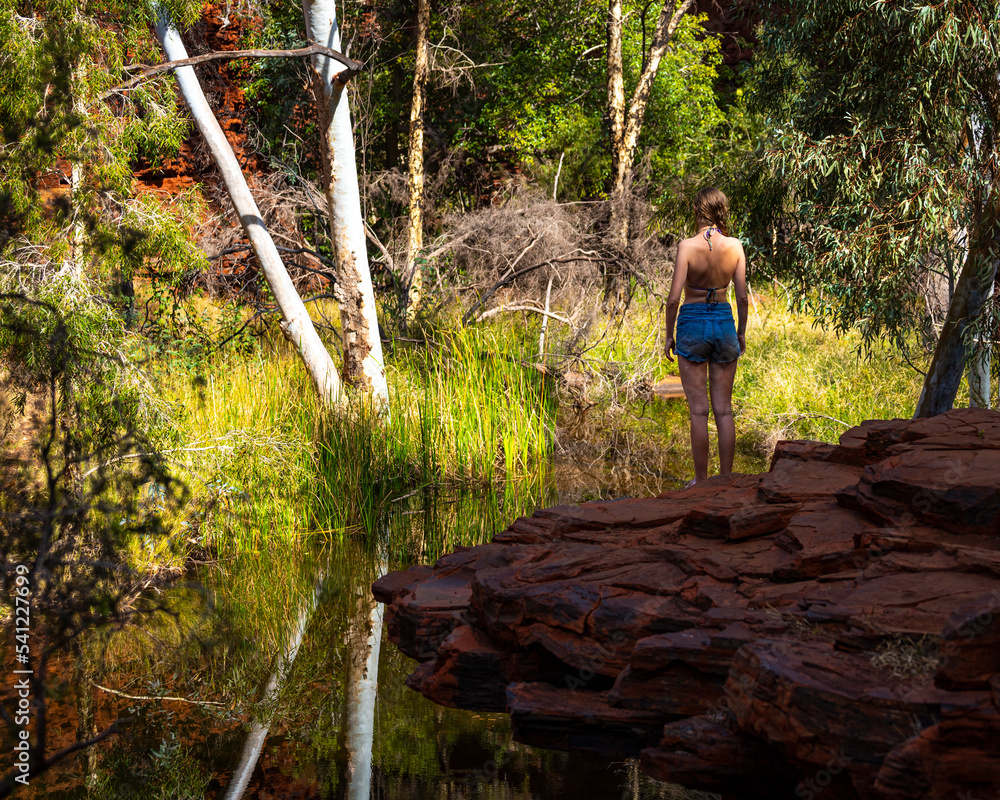 A beautiful girl in a bikini stands on red rocks above a river in a ...