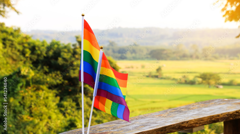 LGBTQ flag decorated to call out the world to respect gender diversity ...